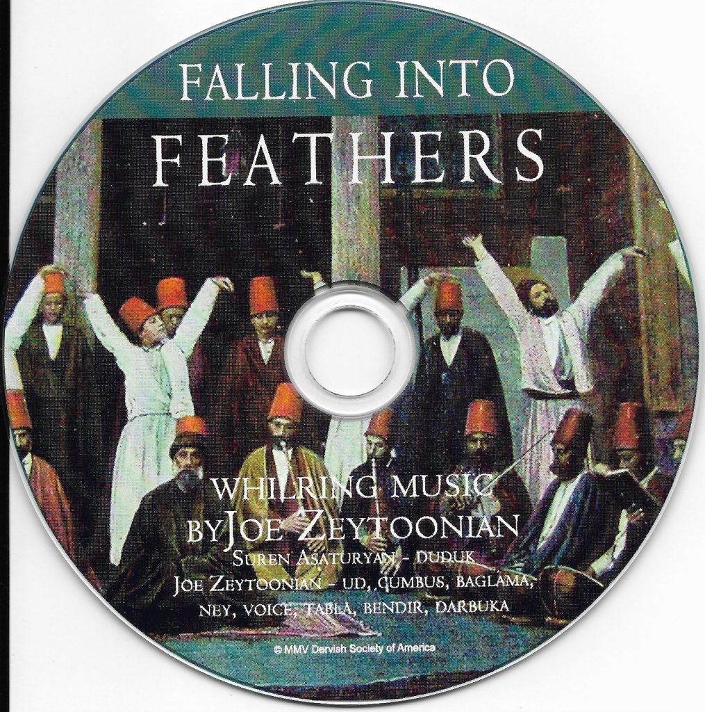 Falling into Feathers – Harmonic Motion
